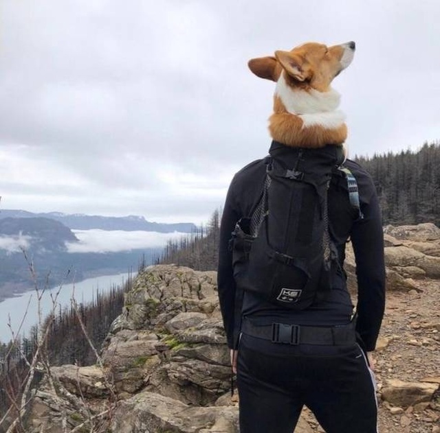 41 Awkward Photos That Will Make You Look Twice - Wtf Gallery | eBaum's ...