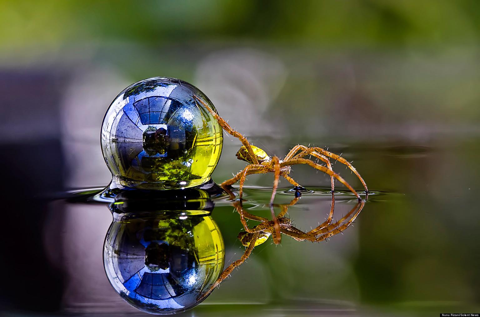 30 Random Pics That Will Brighten Your Mood - Ftw Gallery | eBaum's World