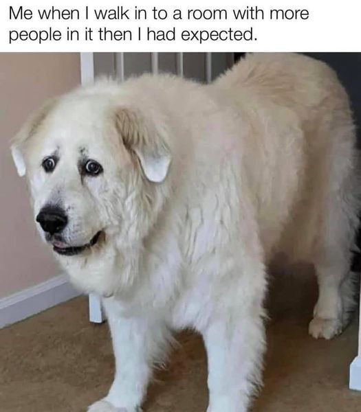 34 Funny Dank Memes To Laugh At - Funny Gallery | eBaum's World