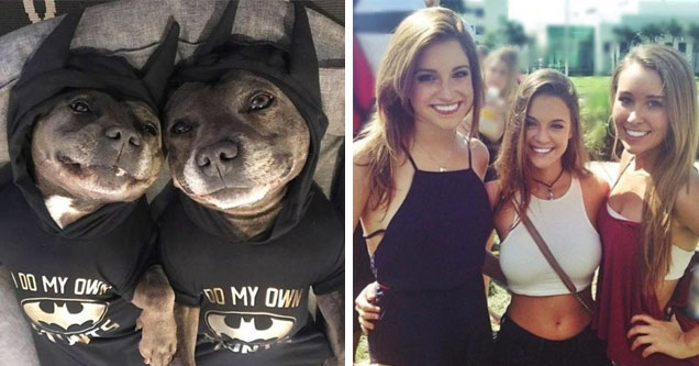 33 Super Random Pics That Will Entertain Your Brain - Funny Gallery ...