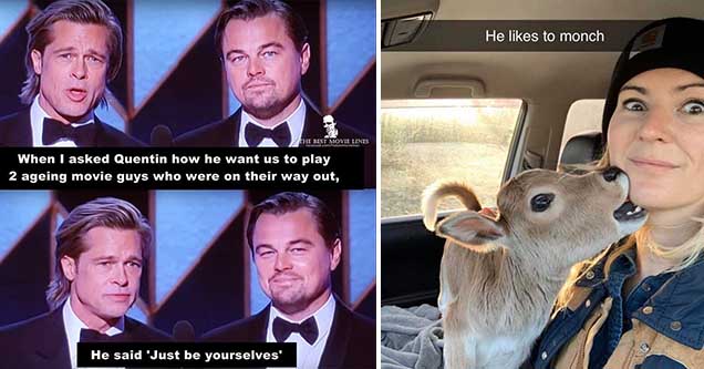 46 Pics and Memes For a Good Laugh or Two - Funny Gallery | eBaum's World