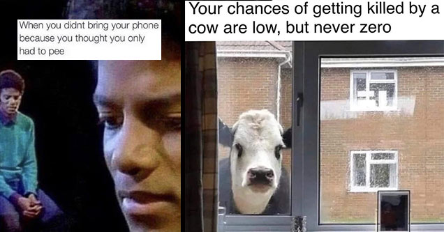 37 of the Funniest Memes Ripe For You - Funny Gallery | eBaum's World